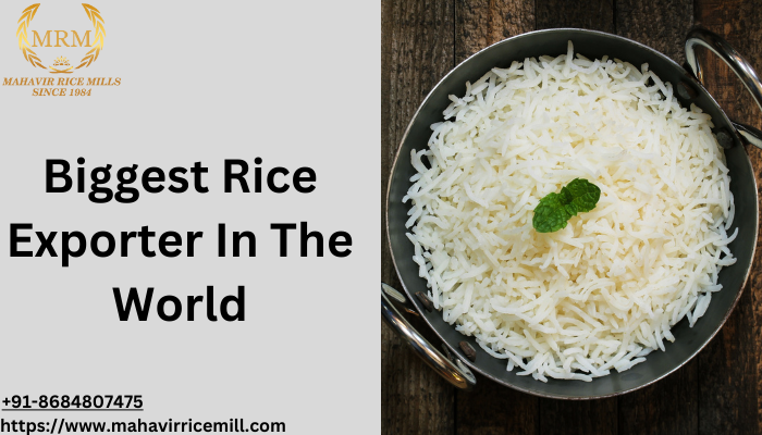 Golden Elegance: Unveiling the Finest 1121 Basmati Rice in India | by ...