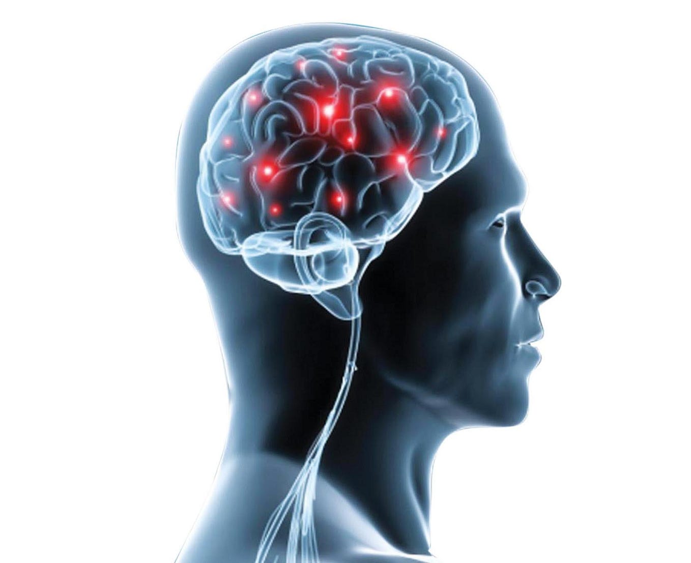 Neuro4Kids | The Cerebrum. Hey there neuro beginners! Welcome back ...