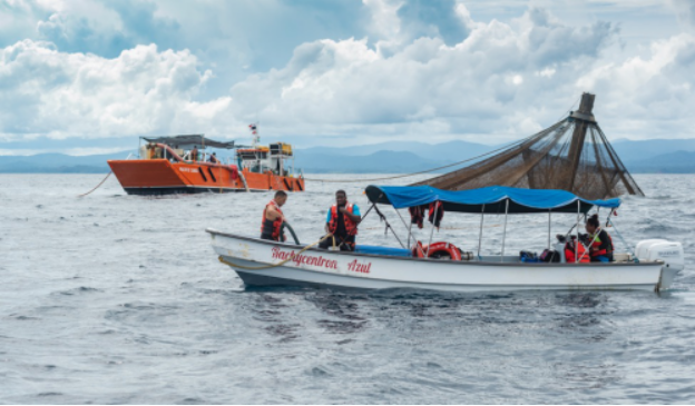 Open Blue Sea Farms Has a Solution for Global Depletion of Fish Stocks ...