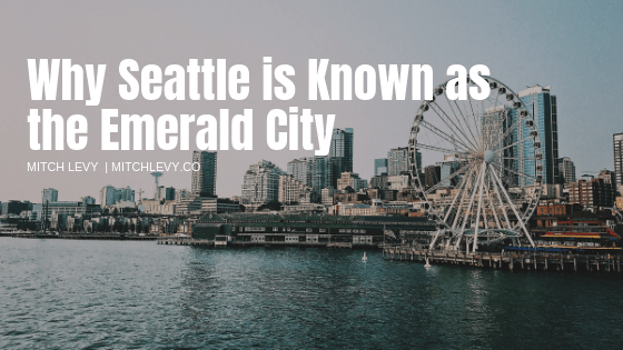 About Mitch Levy — Seattle Based Sports Radio Host | by Mitch Levy | Medium