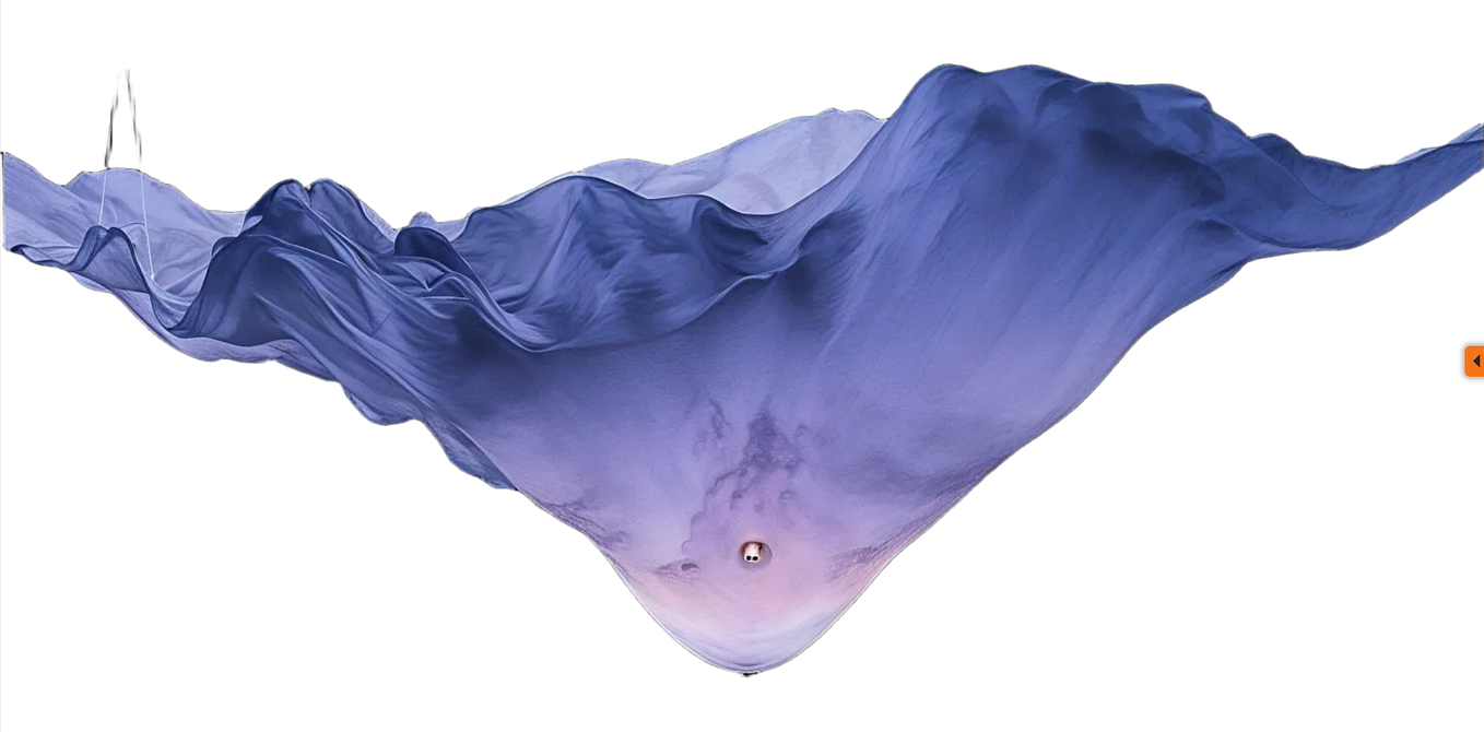 Understanding Multi-Headed Yolo-v9 for Object Detection and ...