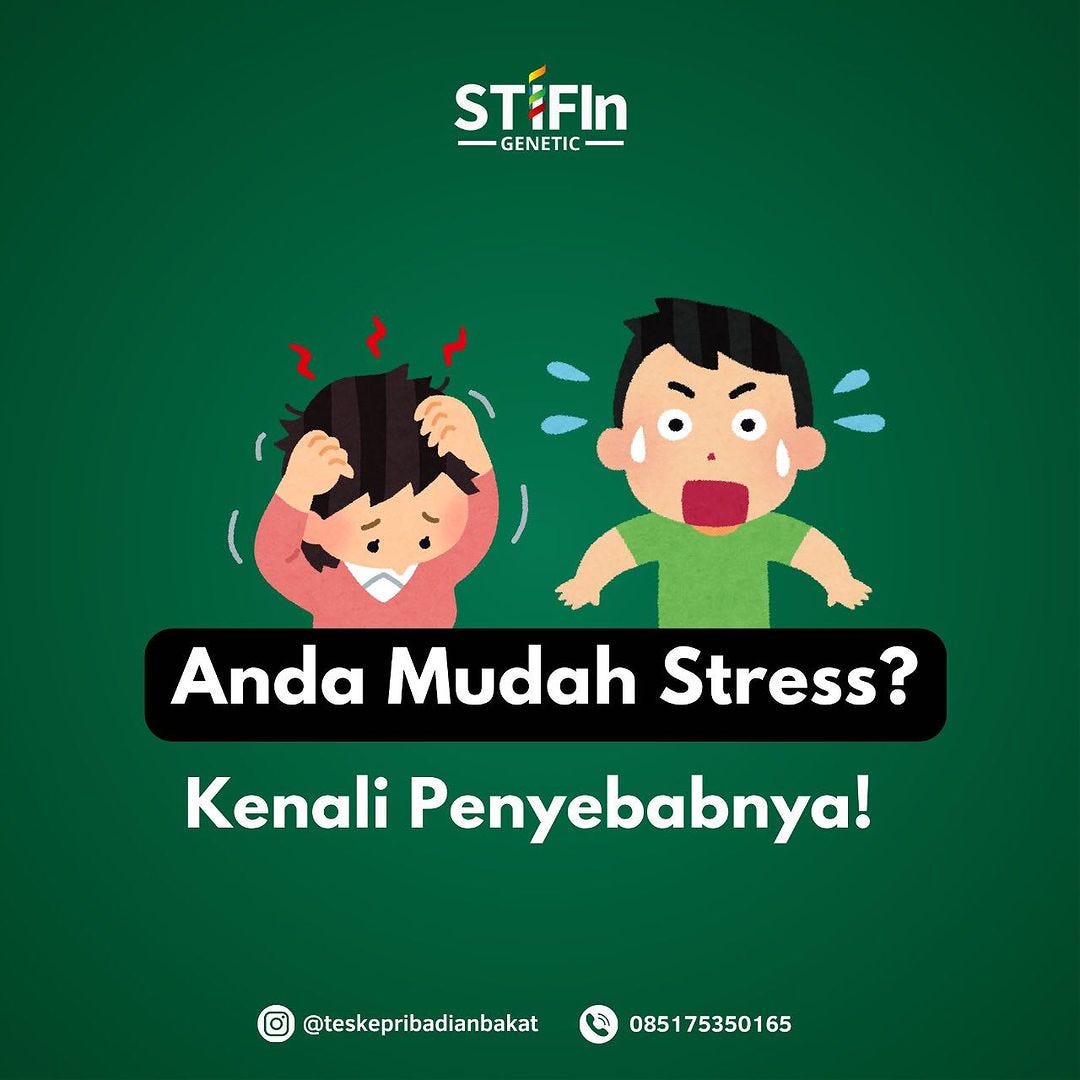 0857–7217–5078, Biaya dan Harga Tes Stifin Anak Kota Jakarta Barat | by ...