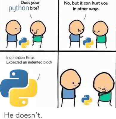 Why Python is Popular Despite Being (Super) Slow | by Bobby | Medium