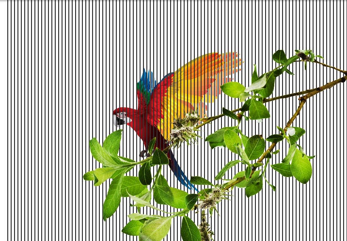 Vertical Scrolling Background and 3D Objects With Controls Using p5.js WEBGL. | by Nazia ...