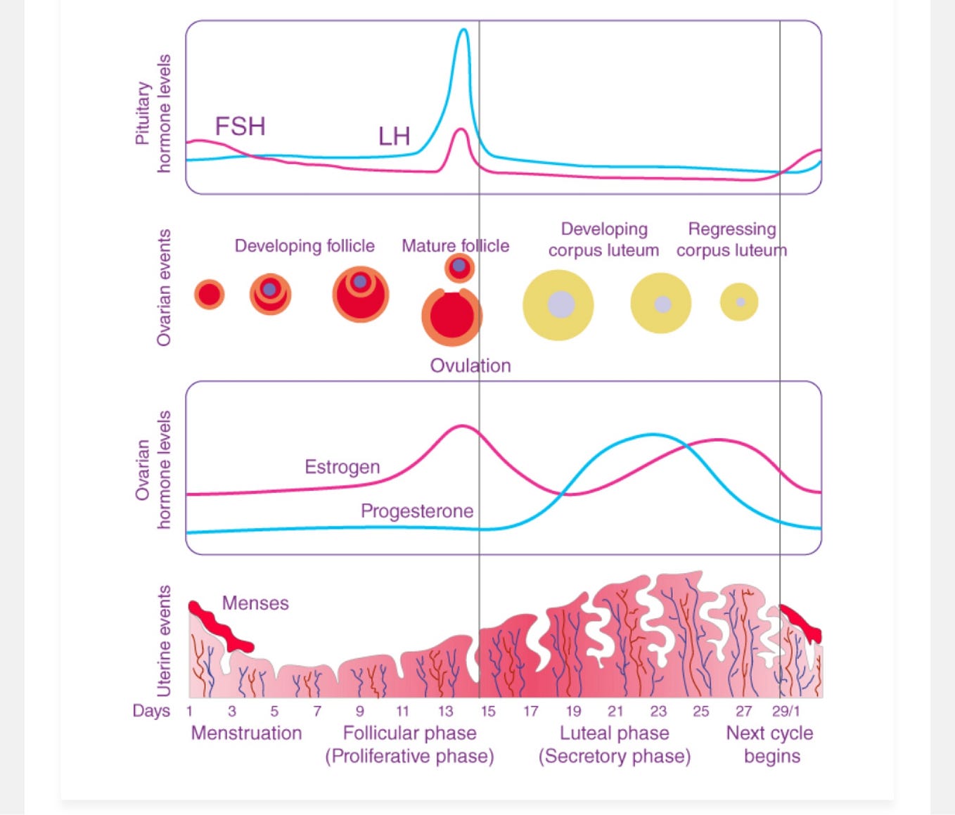 Root-Finding Techniques in MATLAB: Newton Raphson, Secant and Bisection ...