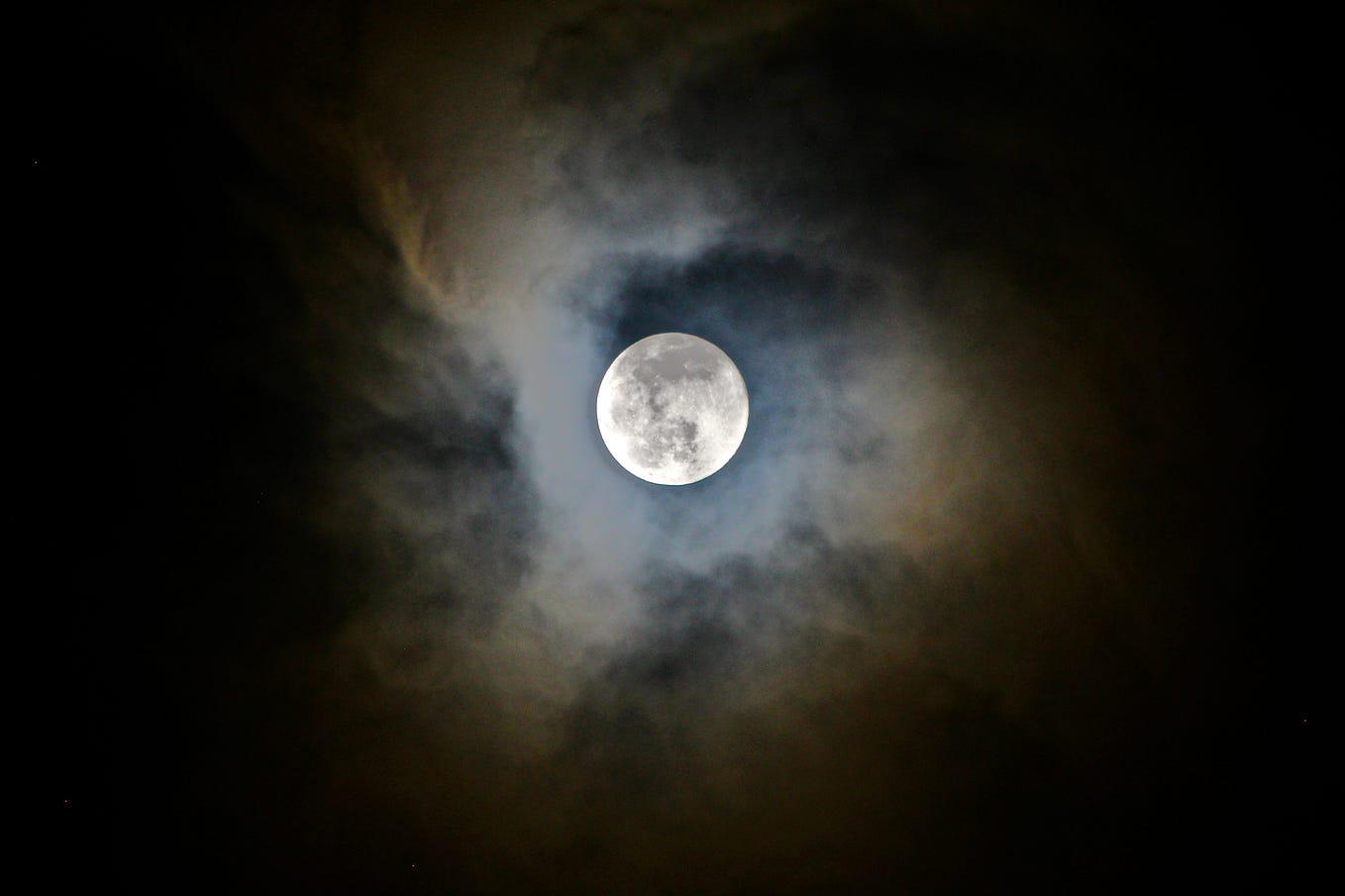 Love🌙 Luna: The Flower Moon - Olivia Fertig - Medium