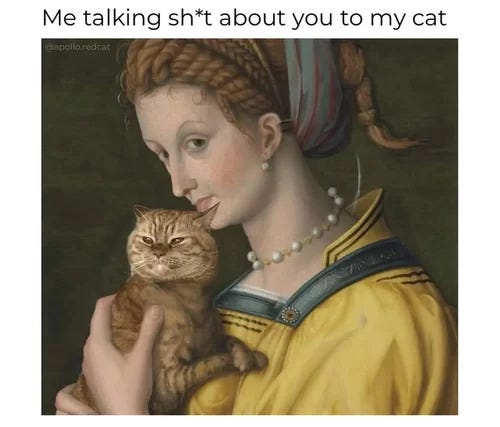 20 Funny Cat Poems from the Curious Zelda Collection - Chameleon Memes ...