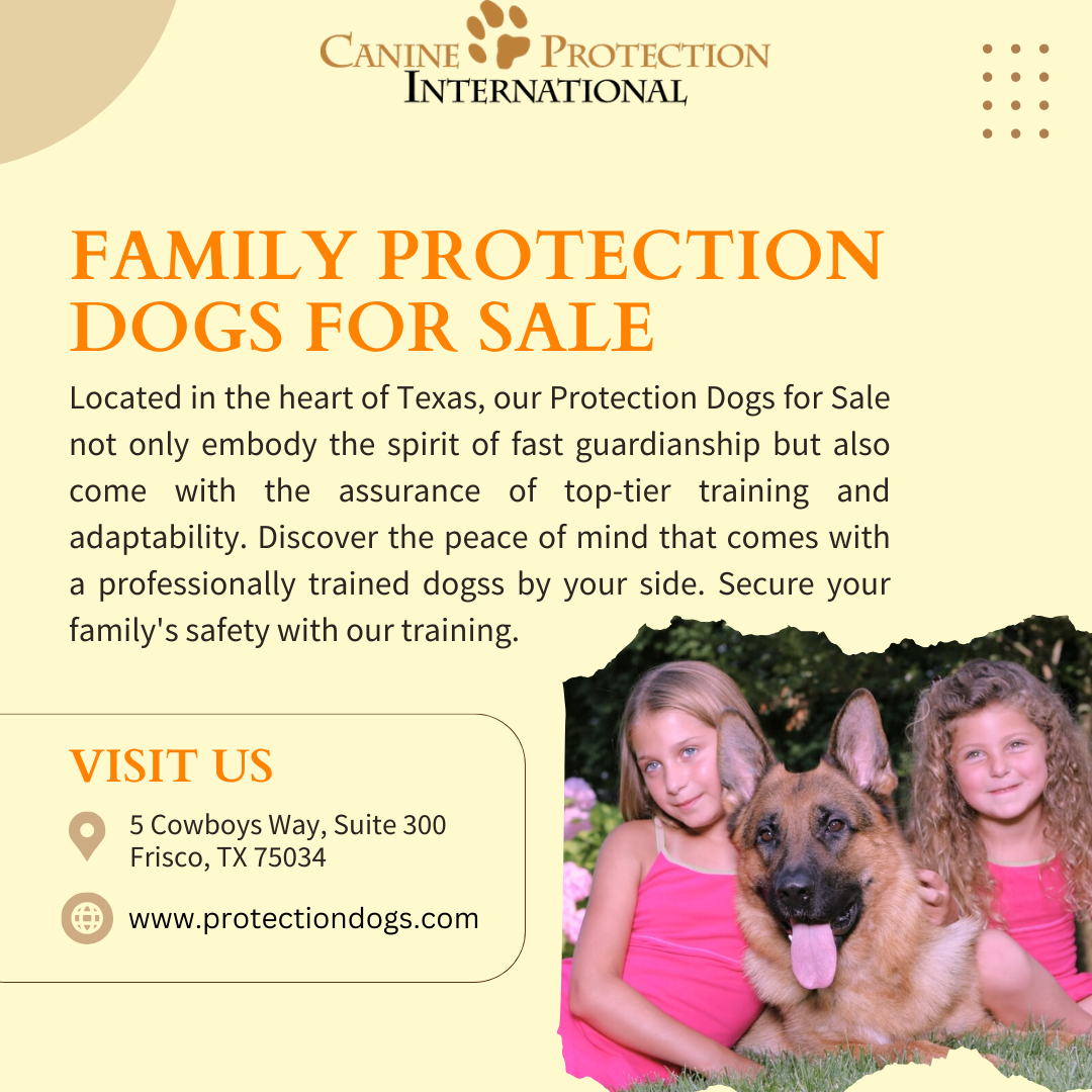 Unveiling the Process: How CPI Protection Dogs Are Trained for ...