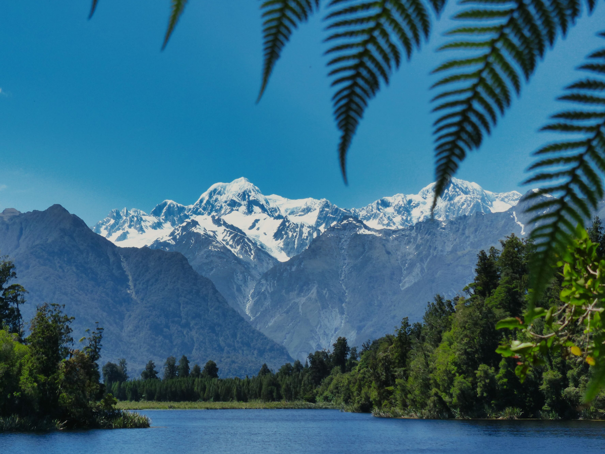 Discover New Zealand: Your Guide to Guided Tours | by NZ Tourism Tours ...