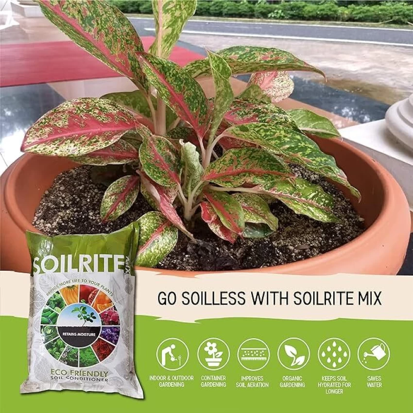 Soilless Potting Mix vs. Traditional Soil: Which Is Right for You? | by ...