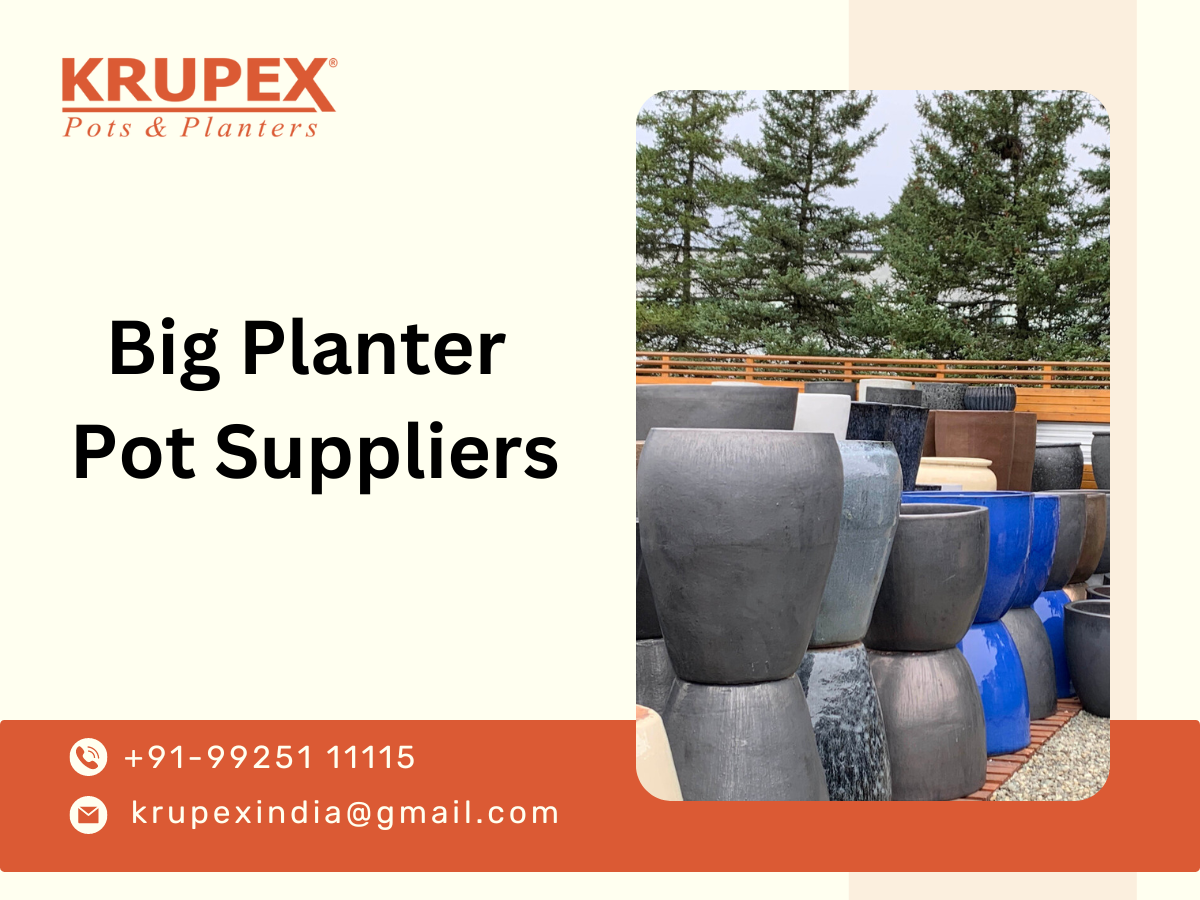 Pots & Planters: Beautify Your Space with Krupexindia | by Krupex India | Jun, 2024 | Medium