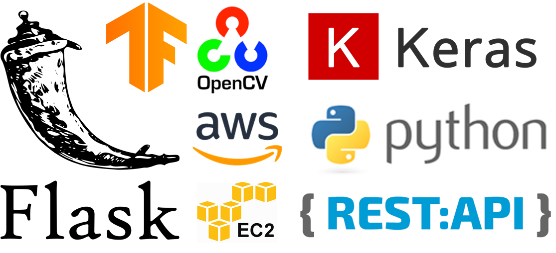 Part I — Deploying a Keras Computer Vision Model to AWS using an AWS EC2 Instance (Web App & API ...
