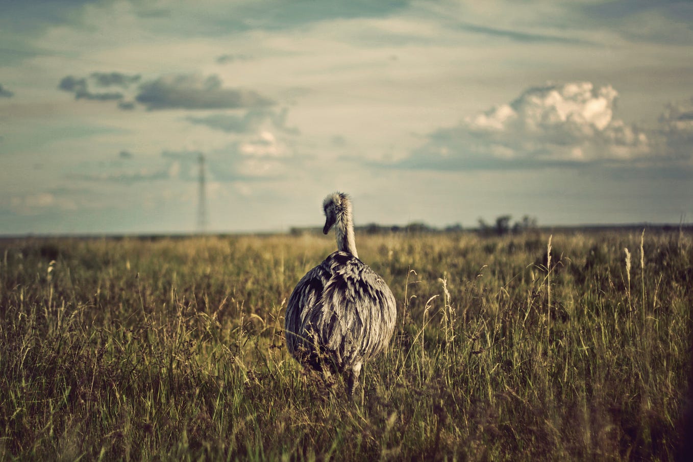 Moment. A one-line poem prompt | by Emily Roberts | Chalkboard | Medium