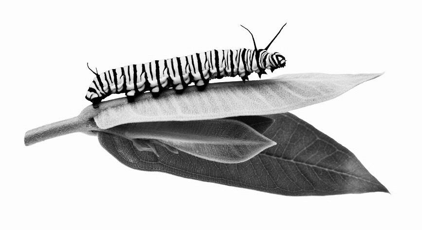 BigQuery CTEs by Example | Towards Data Science