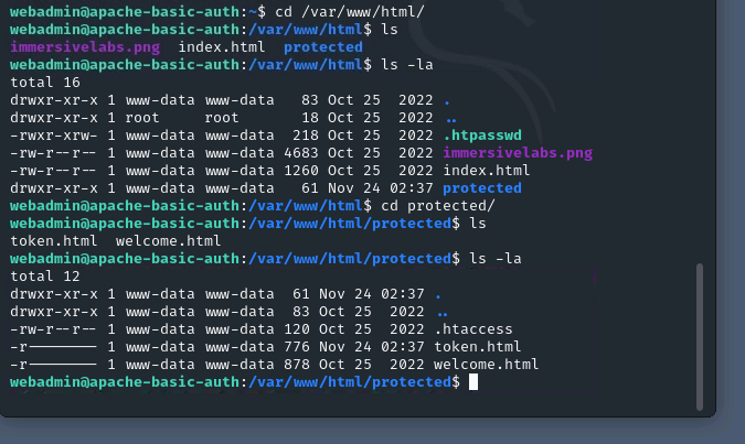 Immersive Labs: Burp Suite Basics | by Joshua P | Medium