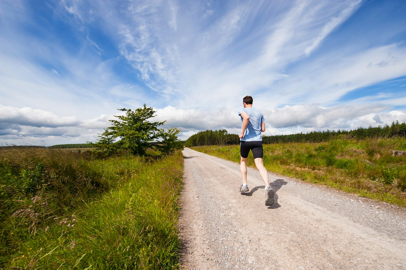 Morning vs evening: What is the best time to run? | by Editors at ...