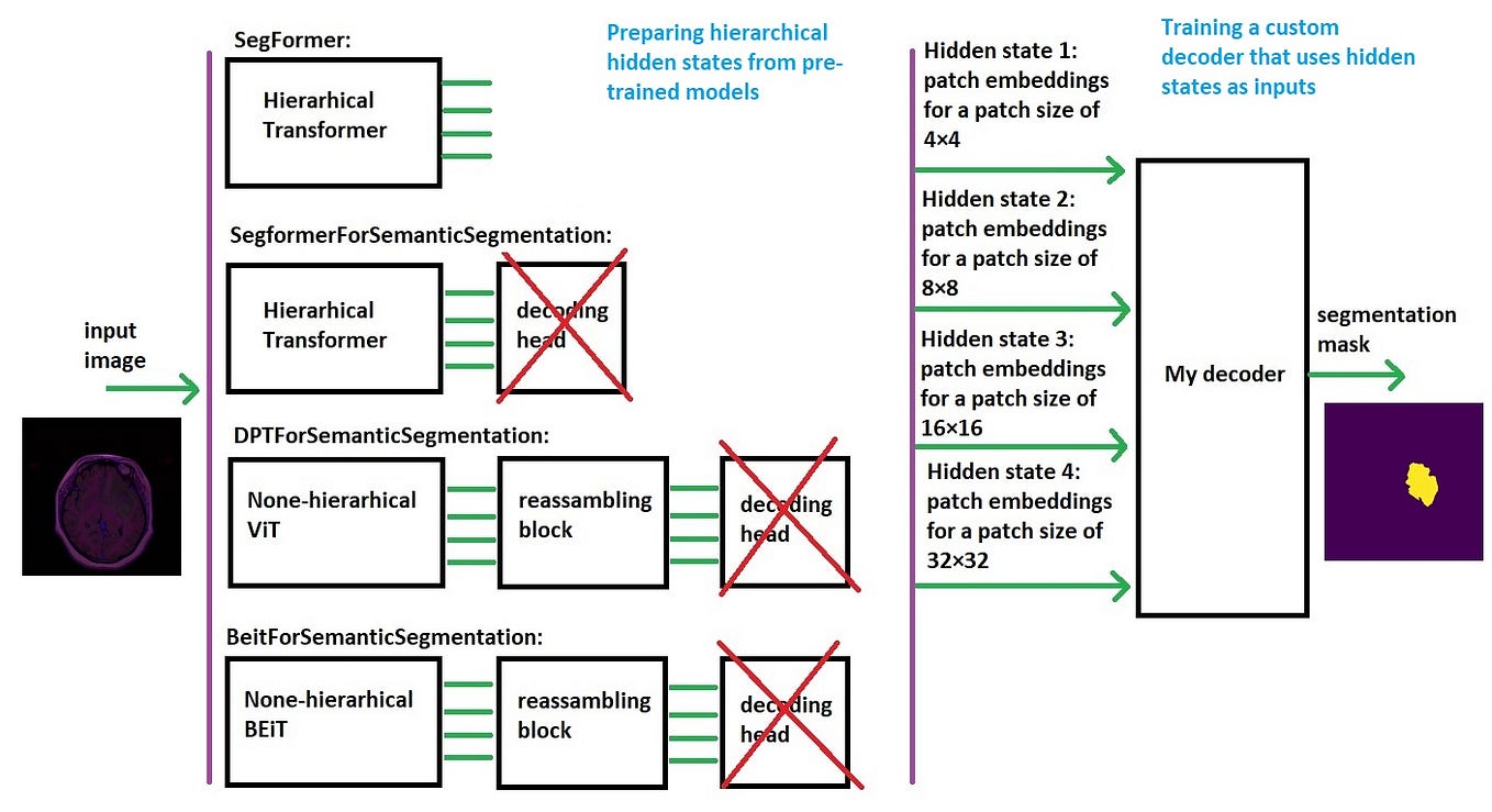 An Introduction to 3D Slicer. A brief overview of an open source… | by David Simms | Medium