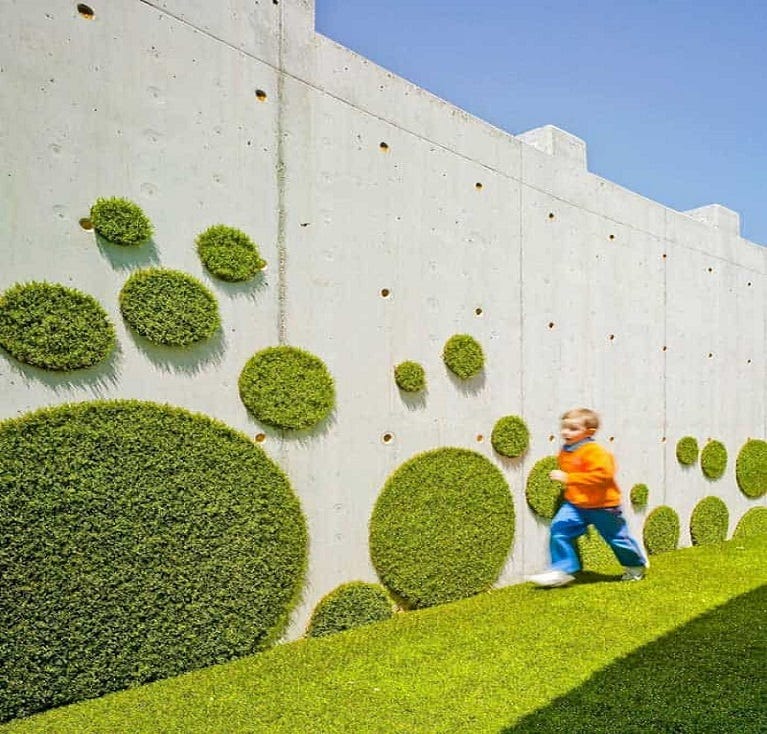 Nature’s Canvas: Crafting an Outdoor Moss Wall for Timeless Elegance ...