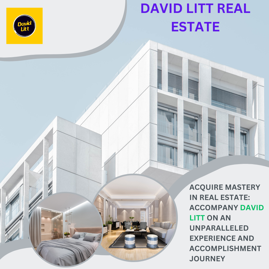 Unveiling the Future of Real Estate: David Litt Real Estate’s Visionary ...