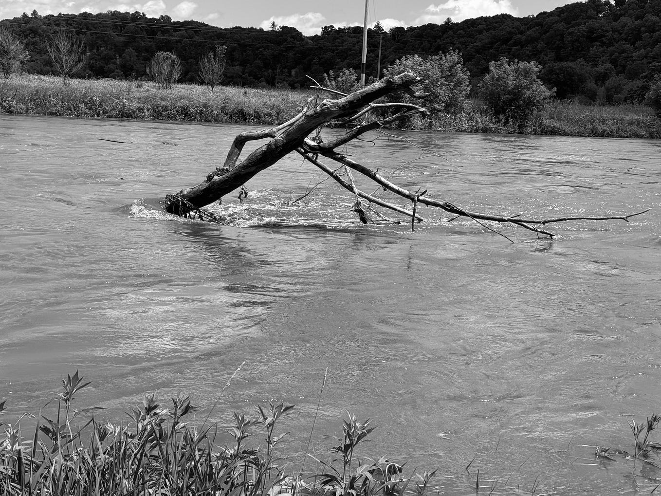 Clever, Brian. Sad. - Paul Gardner - Medium