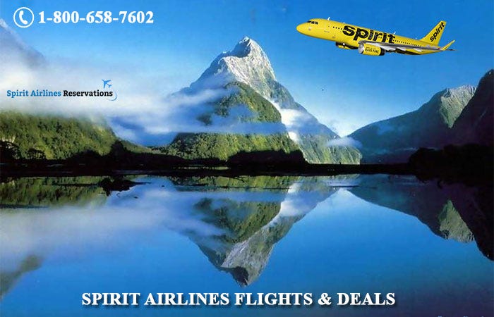 How Can You Avail the Fantastic Spirit Airlines Deals for a Perfect ...