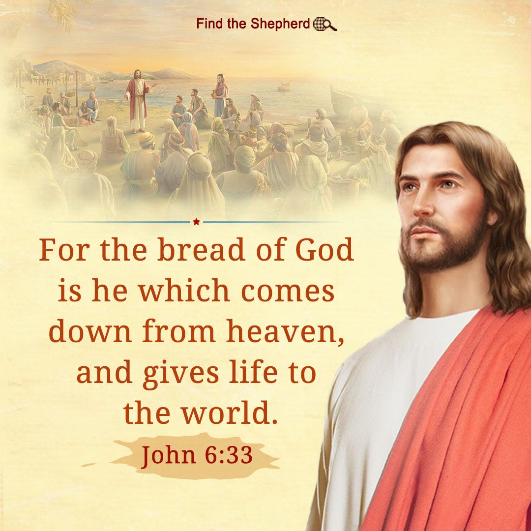 Jesus Feeds the Five Thousand. (John 6:8–13) One of his disciples… | by ...