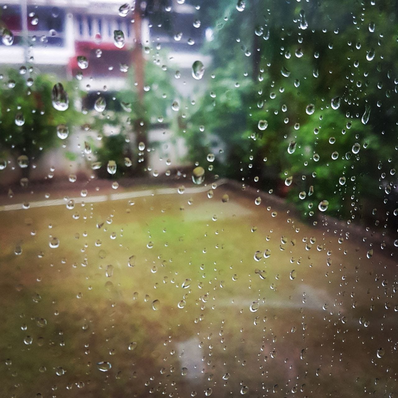 My Journey in a Train. Today I sat in the train after almost 3… | by ...