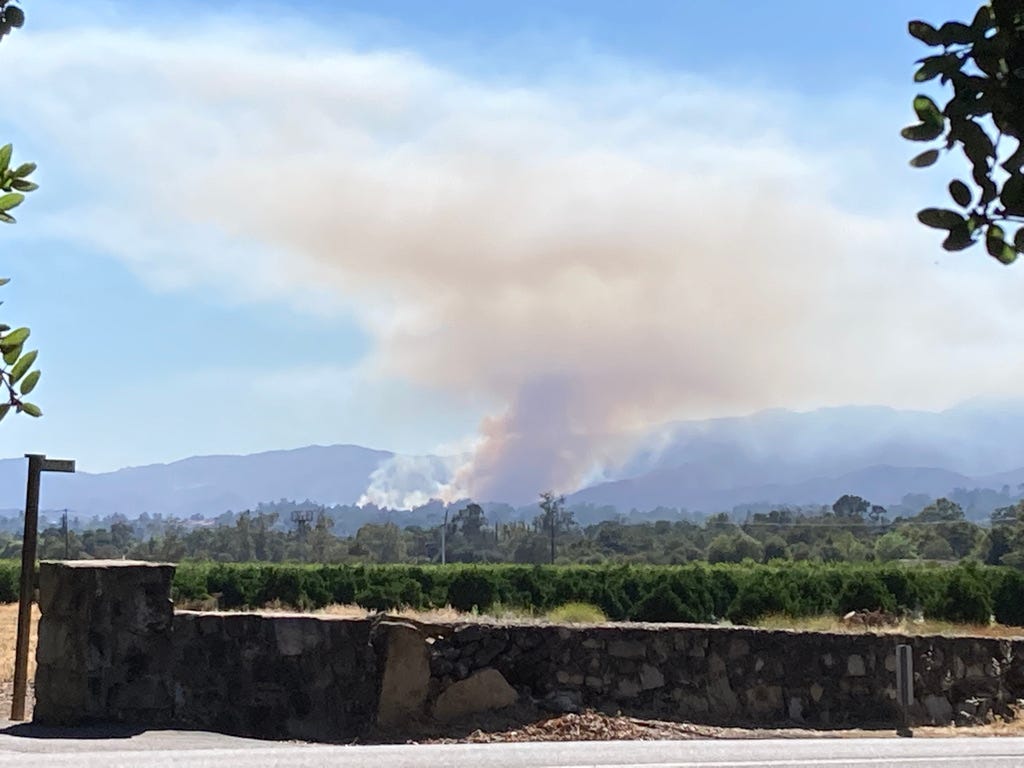 “Orthodoxy or Death”: Esphigmenou (July 1989) | by Robert Borneman | Medium