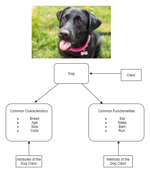 Java Virtual Machine and its Architecture | by Dan Dias Abeyesinghe ...