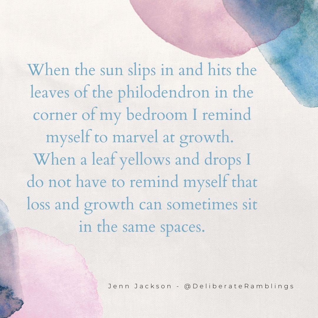 I am soft.. I am soft | by Deliberate Ramblings | Medium