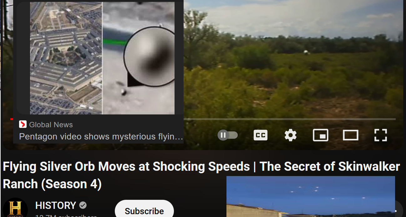 UFOs, Humans, and Animals. In a discussion initiated by Lue… | by John Ege | Aug, 2024 | Medium