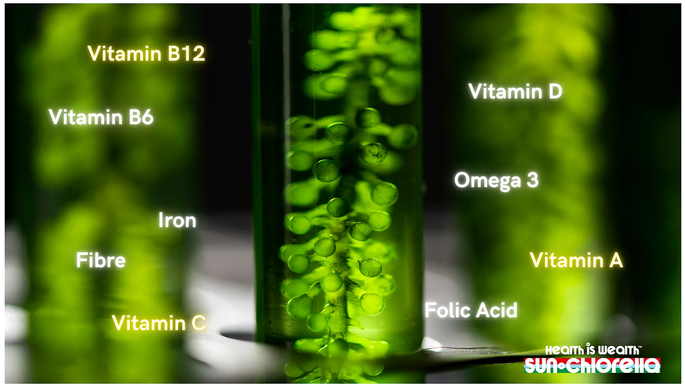 The Science Behind Sun Chlorella: Understanding its Micro-algae Origin ...