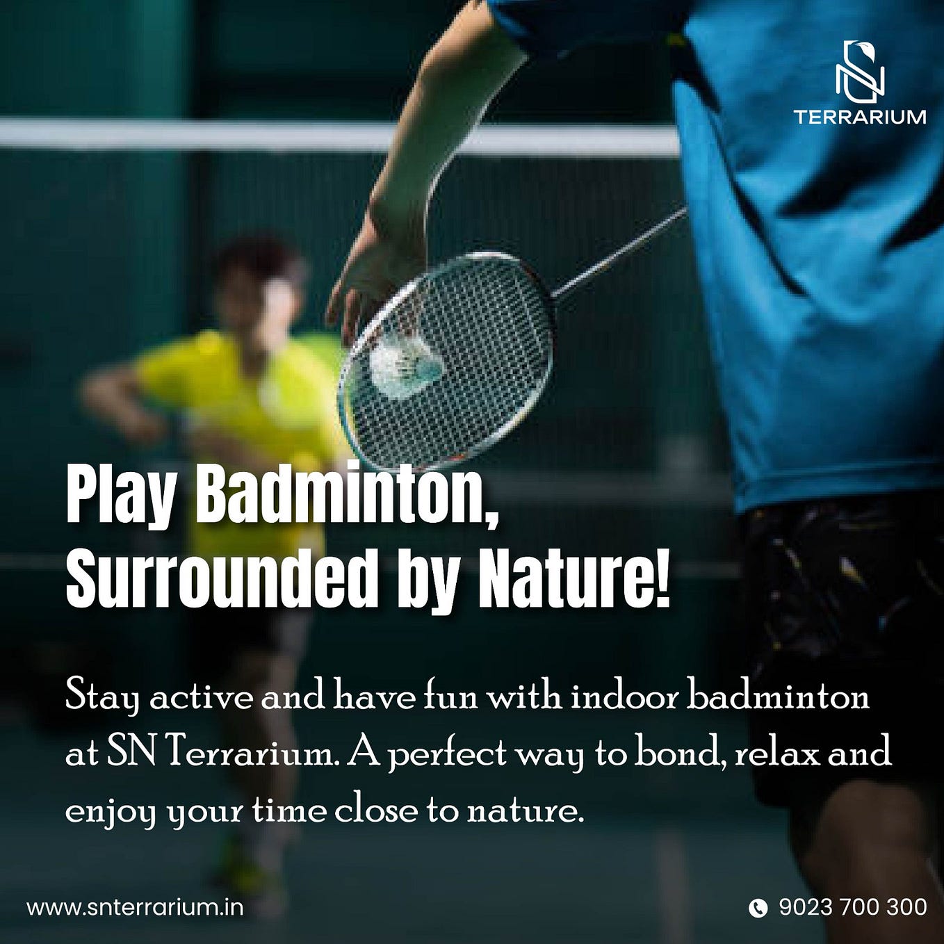 Step into SN Terrarium’s Fruit Paradise! Discover a world where nature ...