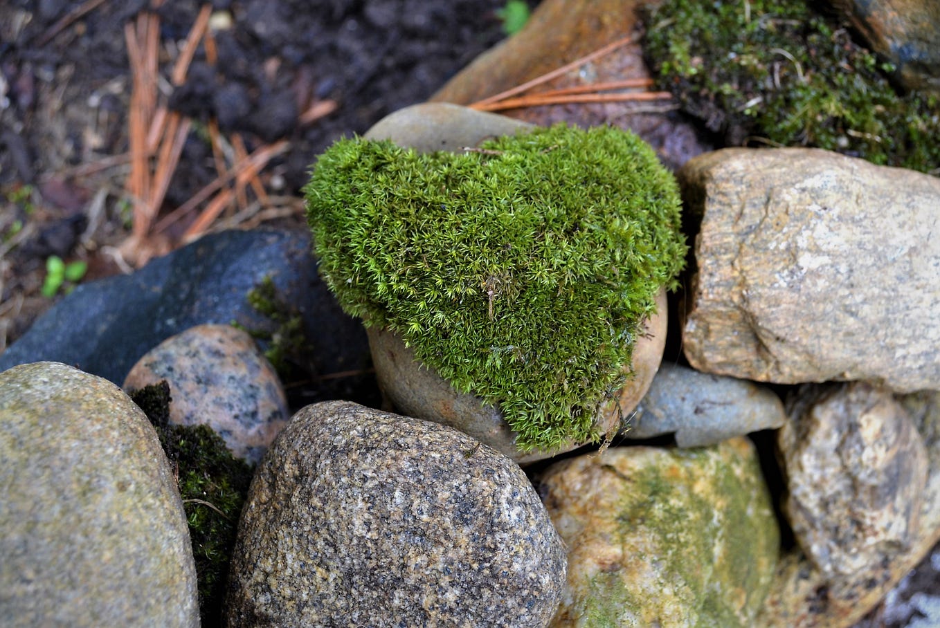 Designing with ornamental grasses and perennials | by John Markowski ...