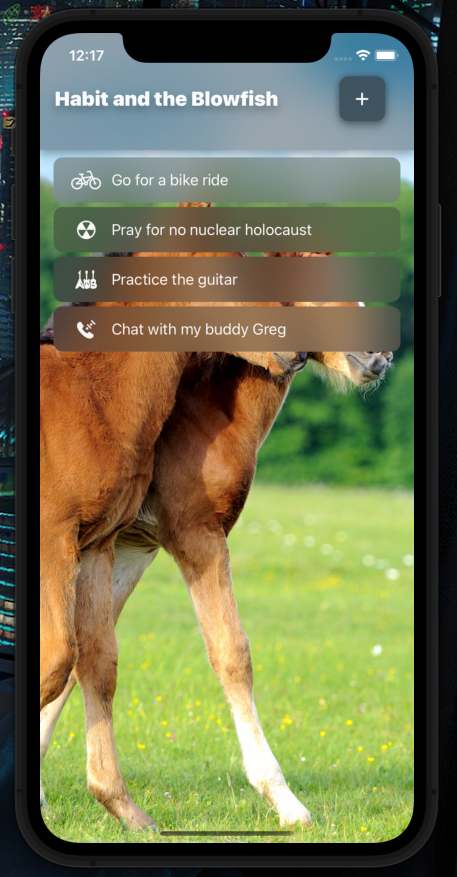 How to make a flashcard app with Swift UI | by Liyicky | Medium