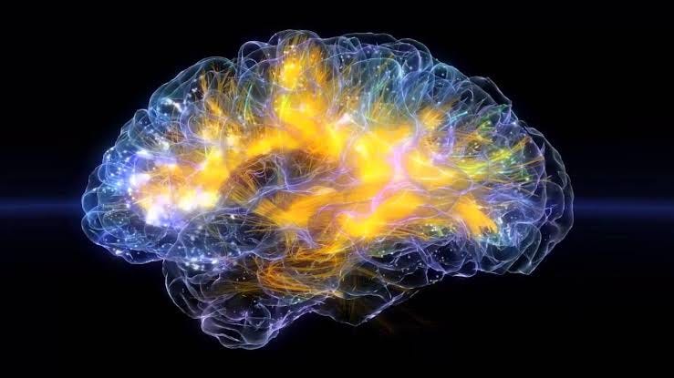 The Brain’s Renaissance: Embrace Change and Rewire | by Sayed Amin | Medium