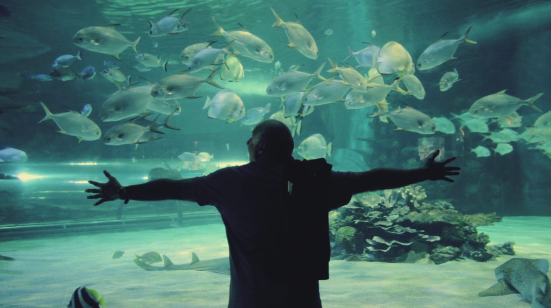 Five Disastrous Animated Films That Mocked the Art of Animation | by ...