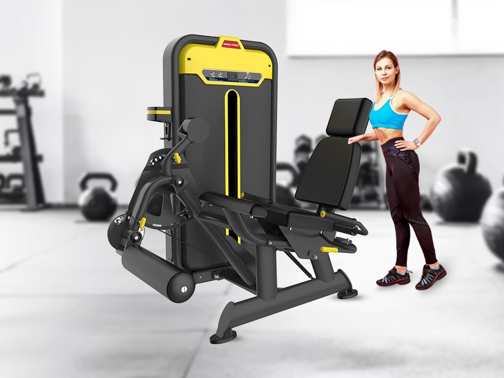 The Ultimate Guide to Gym Equipment for Your Fitness Journey | by ...