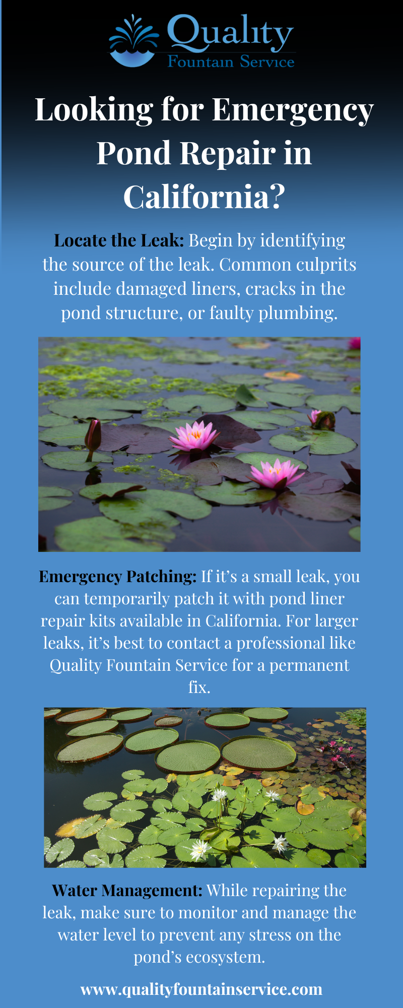 Expert Pond Repair Specialist in Los Angeles - Quality Fountain Service ...