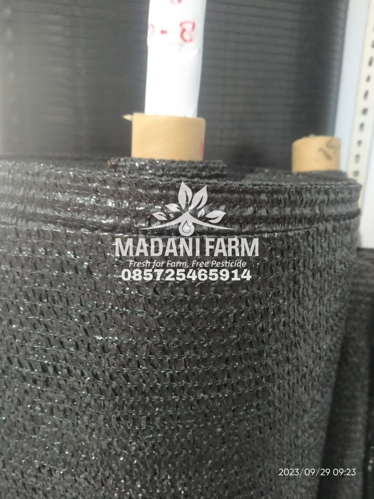 IMPORTIR & DISTRIBUTOR PARANET/JARING HITAM TANAMAN | HP/WA : 0856.4752 ...