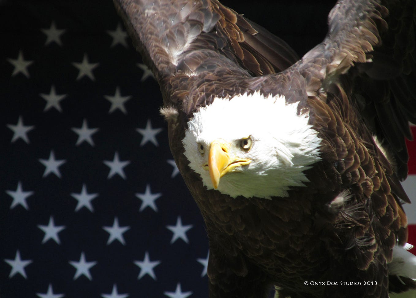 A Quick Primer On The Politics of Beer in North Carolina | by Jeremy ...