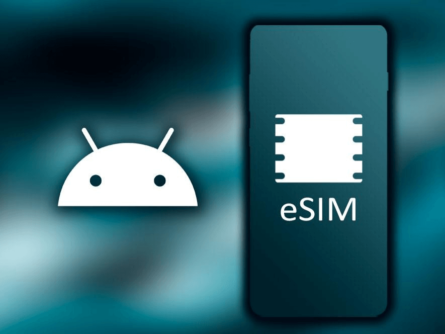 How Do eSIM Cards Work?. In the digital age, the evolution of… | by ...