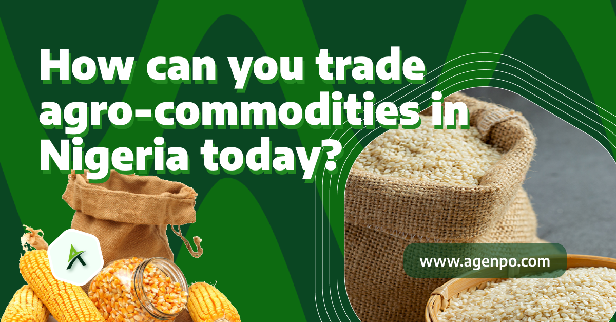 An Overview of Agricultural Logistics in Africa | by Agenpo | Jun, 2024 ...