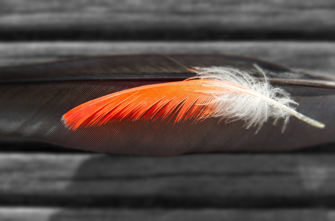 How To Leverage Geopandas For Faster Snapping Of Points To Lines By Brendan Ward Medium