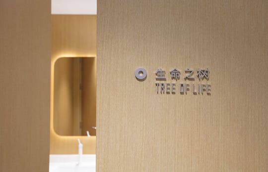 Official launch of ‘Opti’ the robot Worldwide — Terminus Group and Expo ...