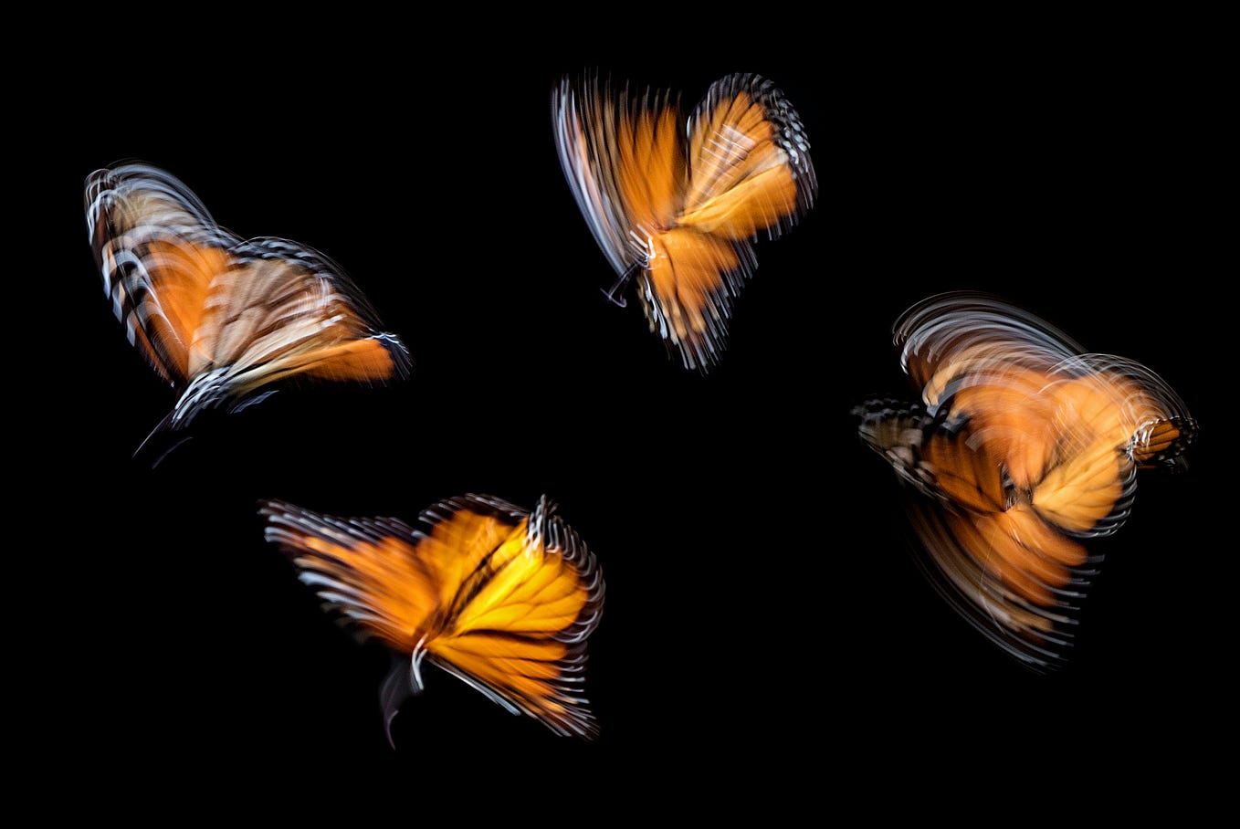 A Formula for Trust: Sincerity, Competence, and Character | by Ray ...