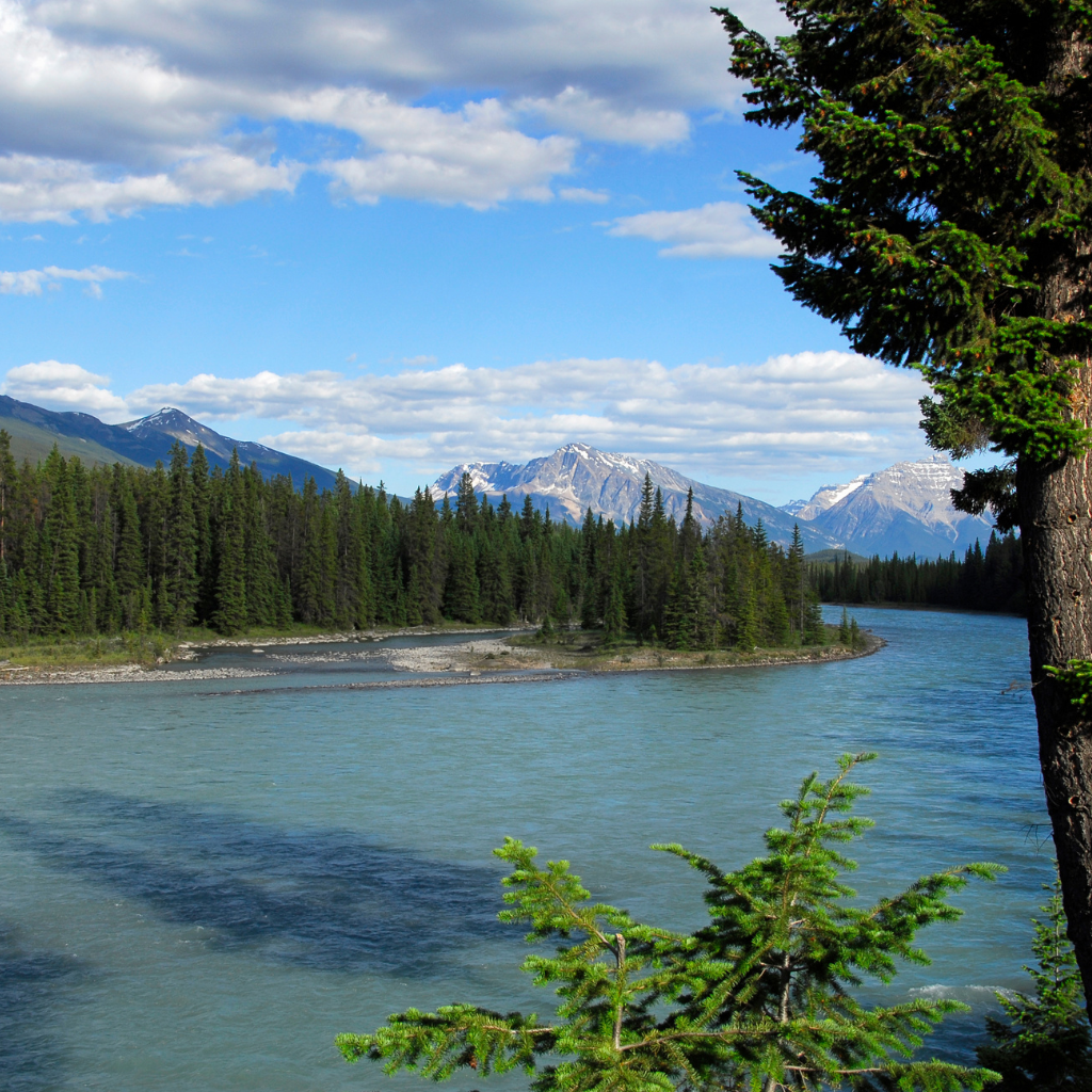 A Quick Summary of ‘Discover Canada’: Your Guide to the Citizenship ...