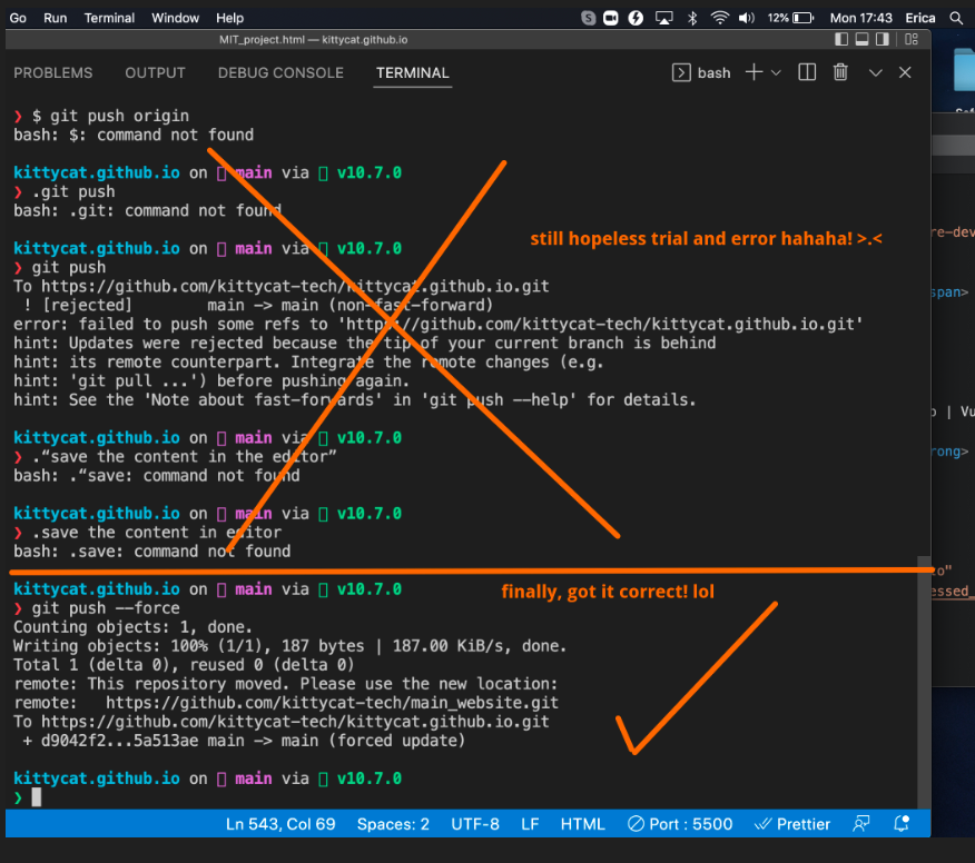 GraphQL API using Strapi and Postman: Debugging and how to fix errors | by Erica Madebeykin | Medium