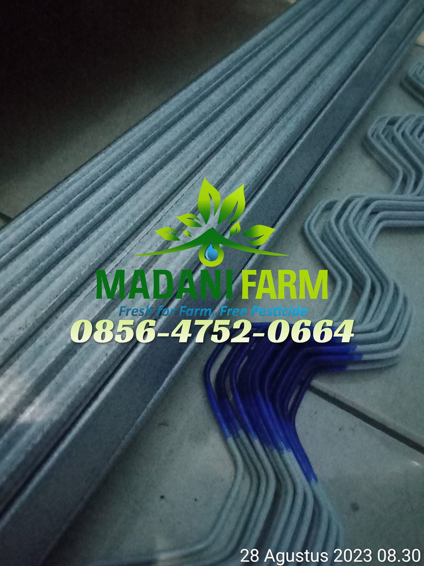 Distributor springclip - Madani Agrotani - Medium