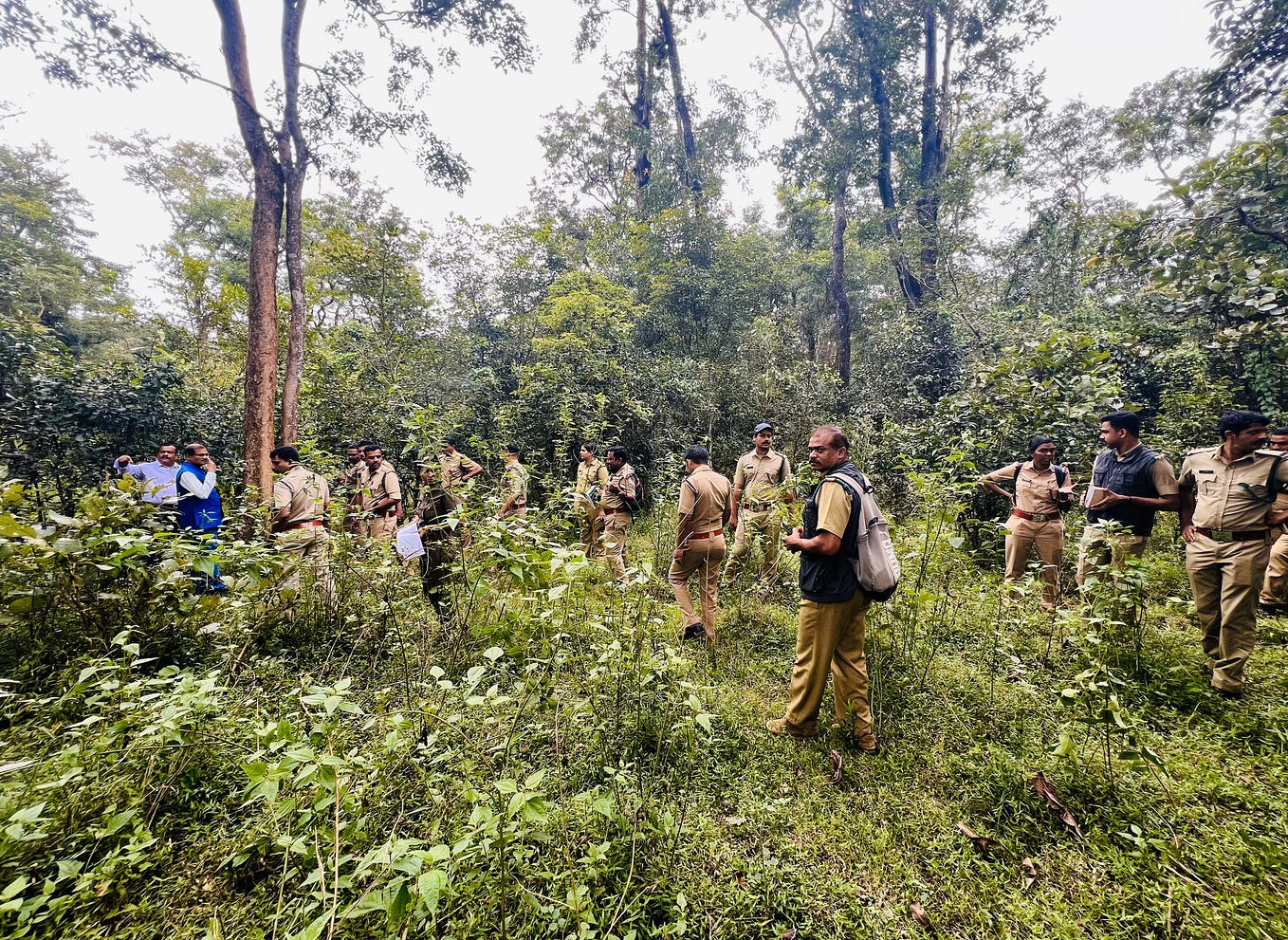 Helping Kerala’s Kani Tribe Conserve Their Nature-Based Food System ...